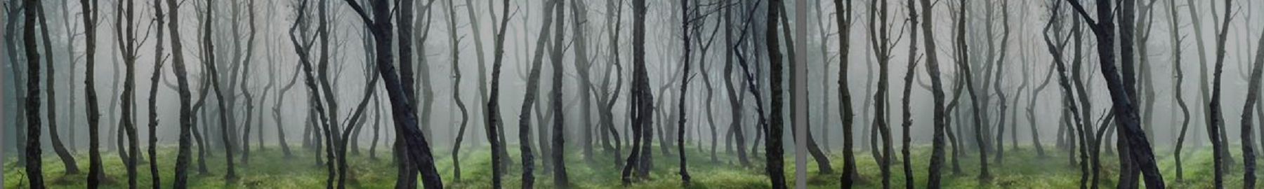 the-5-elements-banner-image - Ransom Wood